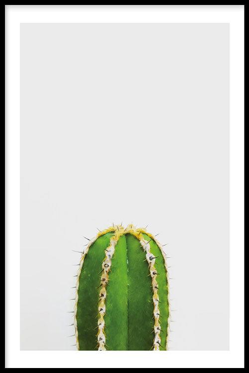 Order the Cactus II botanical poster online | walljar.com