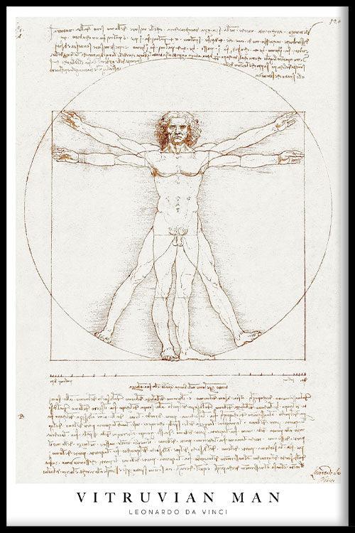 Vitruviusman Leonardo Da Vinci Vitruviusman Van Leonardo Da Vinci