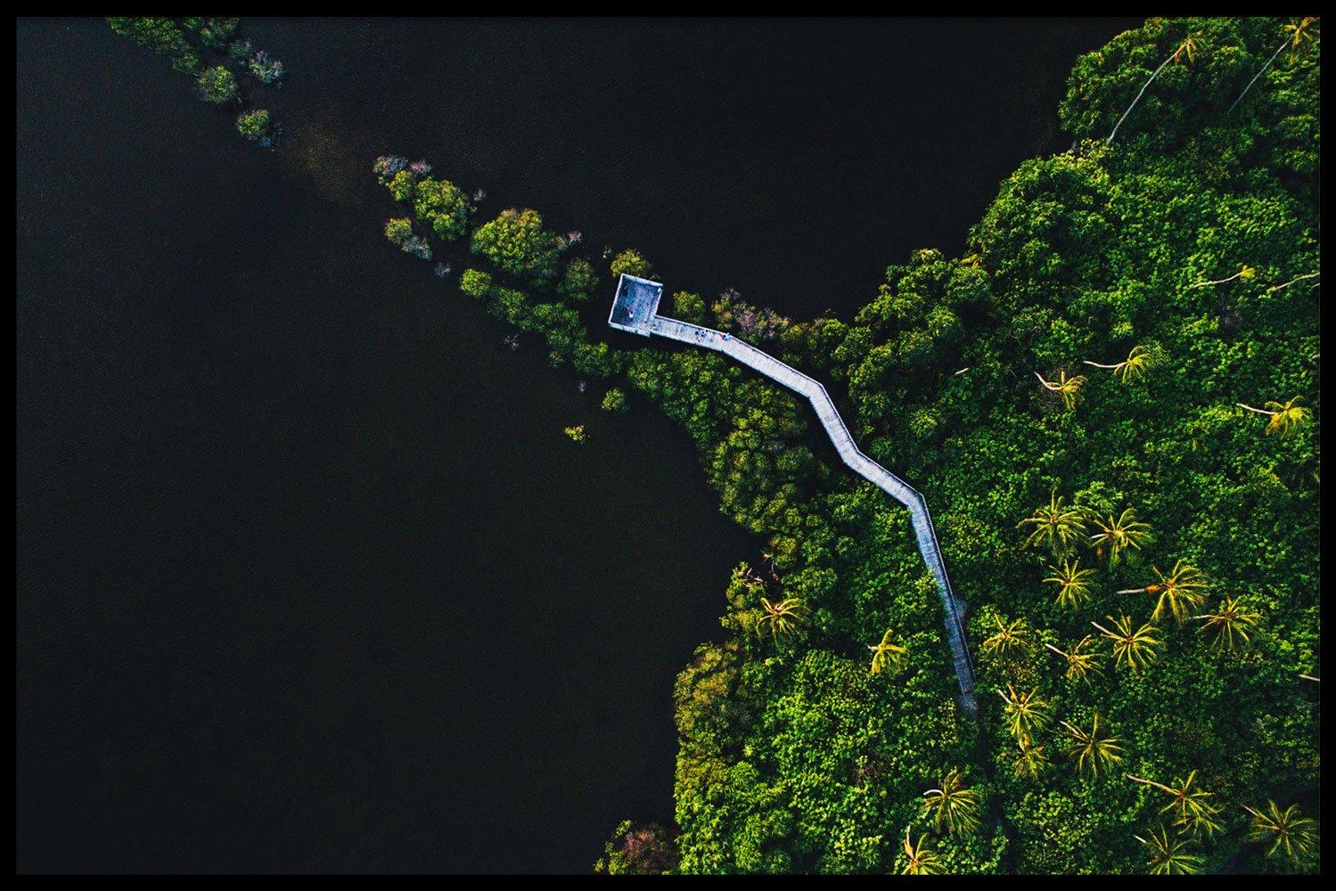 Bos poster van Malediven Bos online bestellen | Walljar.com