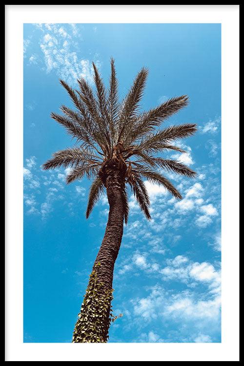 Italy Posters - Palm Curves | Order Online | Shop at Walljar.com