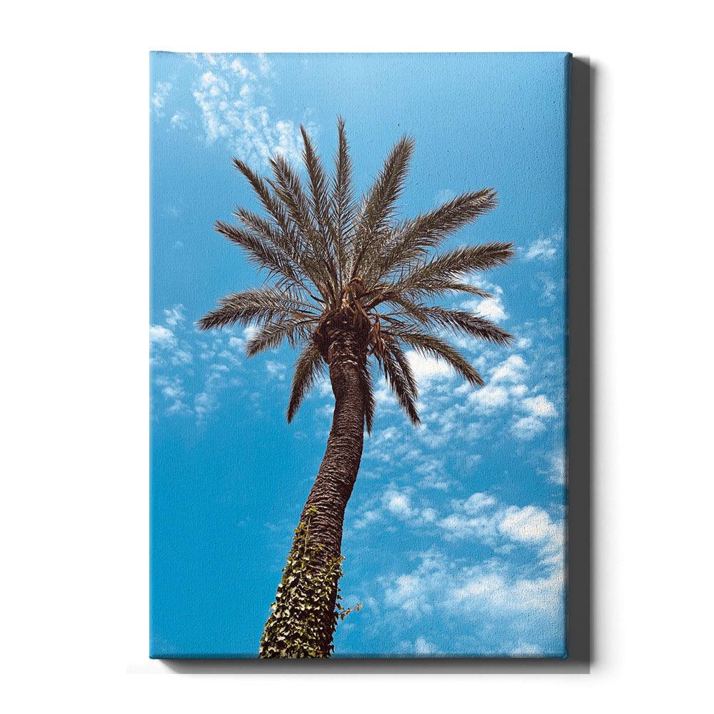 Italië posters - Palm Curves | Online bestellen | Shop op Walljar.com