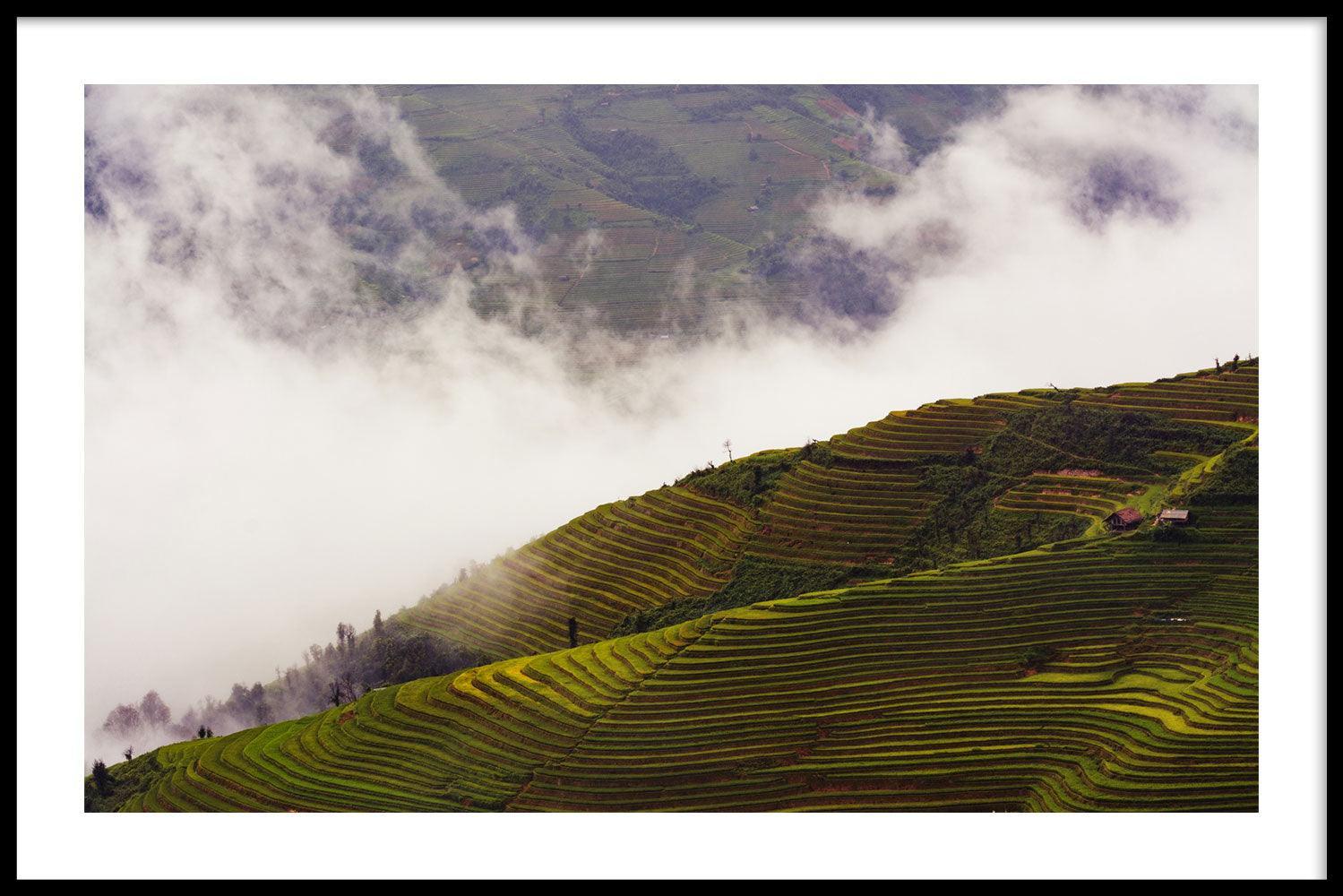 Order nature poster from Rolling Farm Field | walljar.com