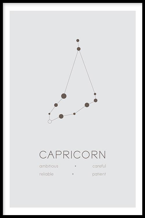 Steenbok Sterrenbeeld